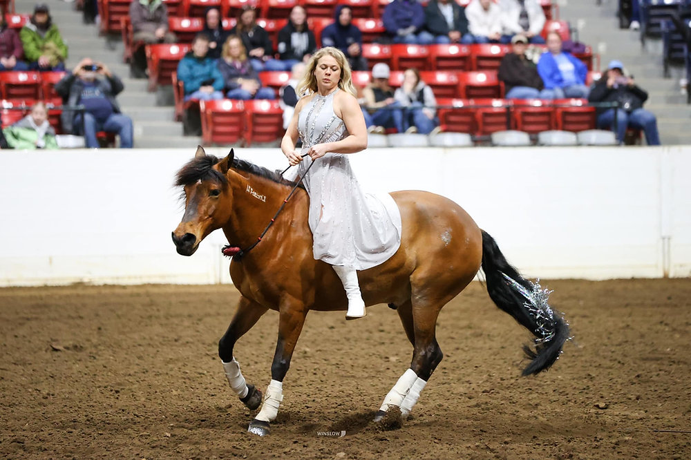 What to do when a horse spooks
