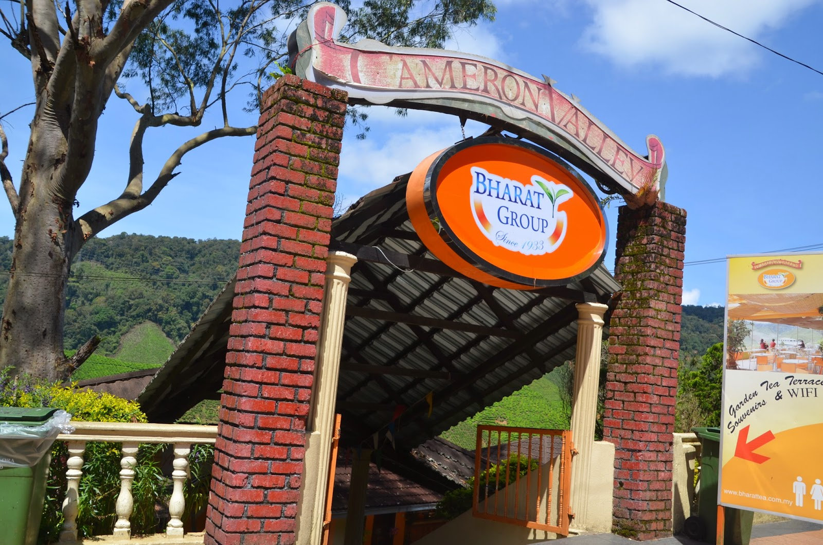 Bharat Tea Plantations | Century Pines Resort Cameron Highlands