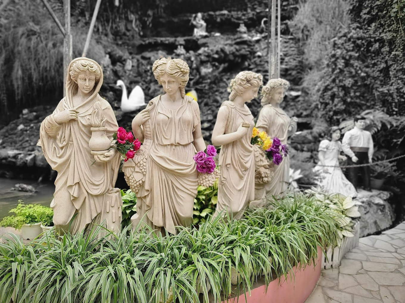 Rose Valley | Century Pines Resort Cameron Highlands