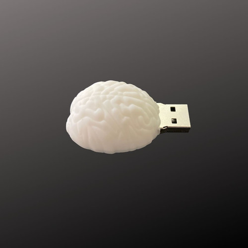 Pendrive de Cerebro 32GB | La Tienda Científica