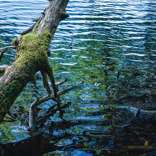 Where wind arises | intenselab