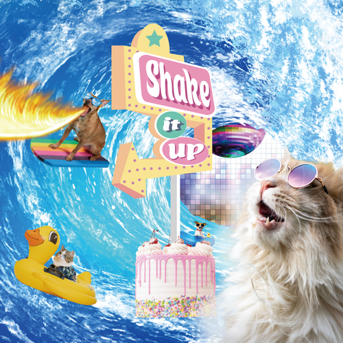 Shake it up | intenselab