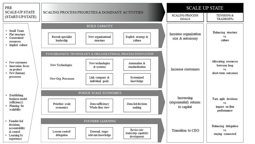 From digitalized start-up to scale-up