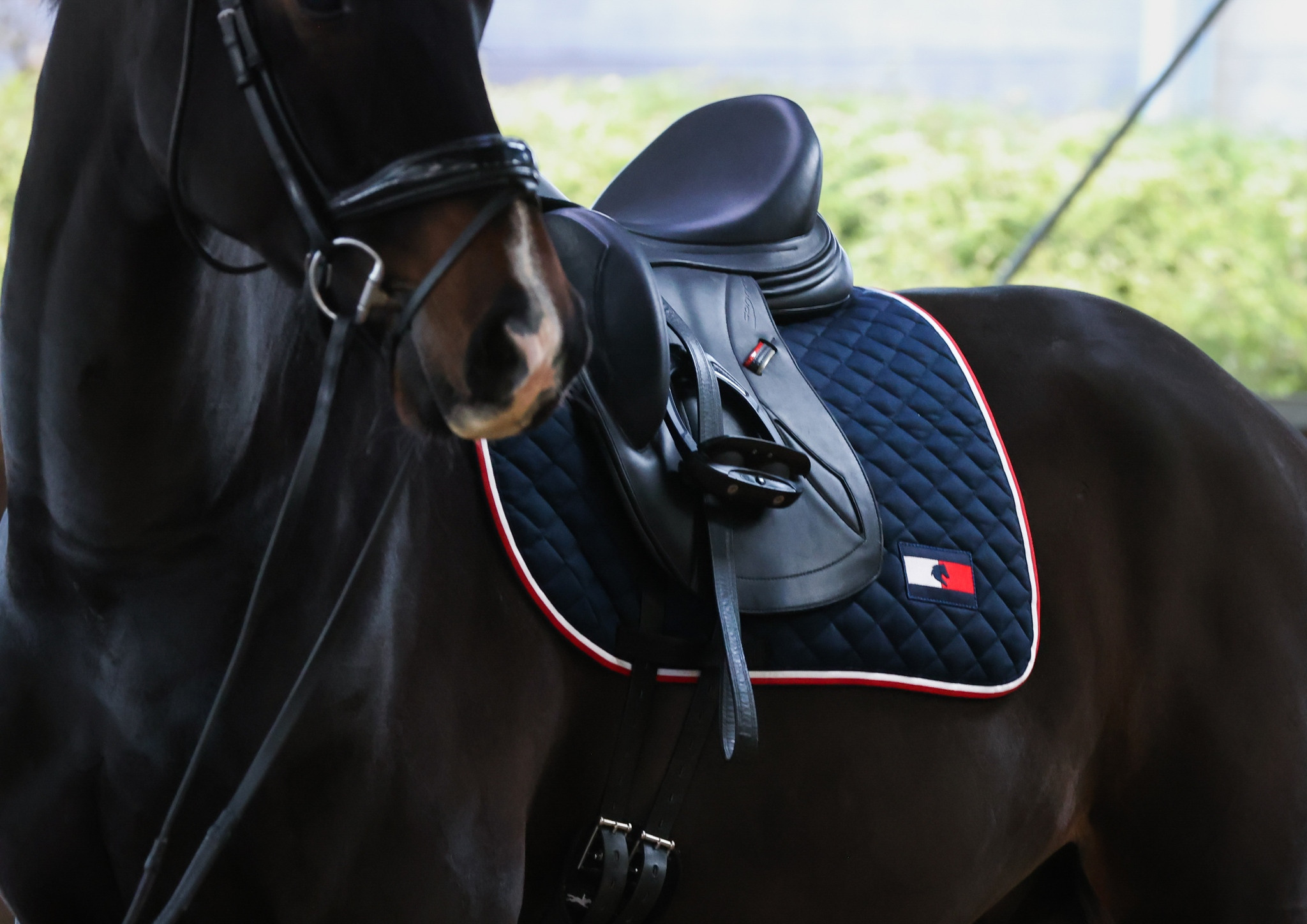 Tommy Hilfiger Equestrian saddle pads