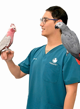 Meet The Team | Evervet Veterinary Clinic | Singapore