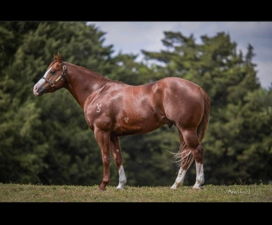 DESIGNEDBY STARLIGHT