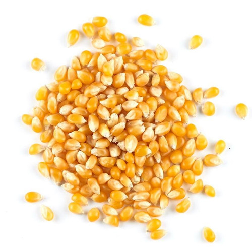 Original Popping Corn | Parrothead Popcorn