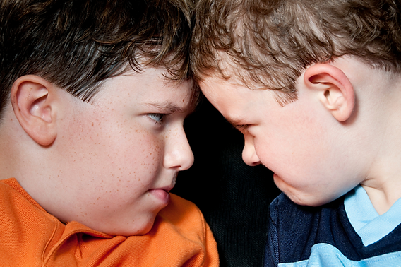 sibling rivalry child development