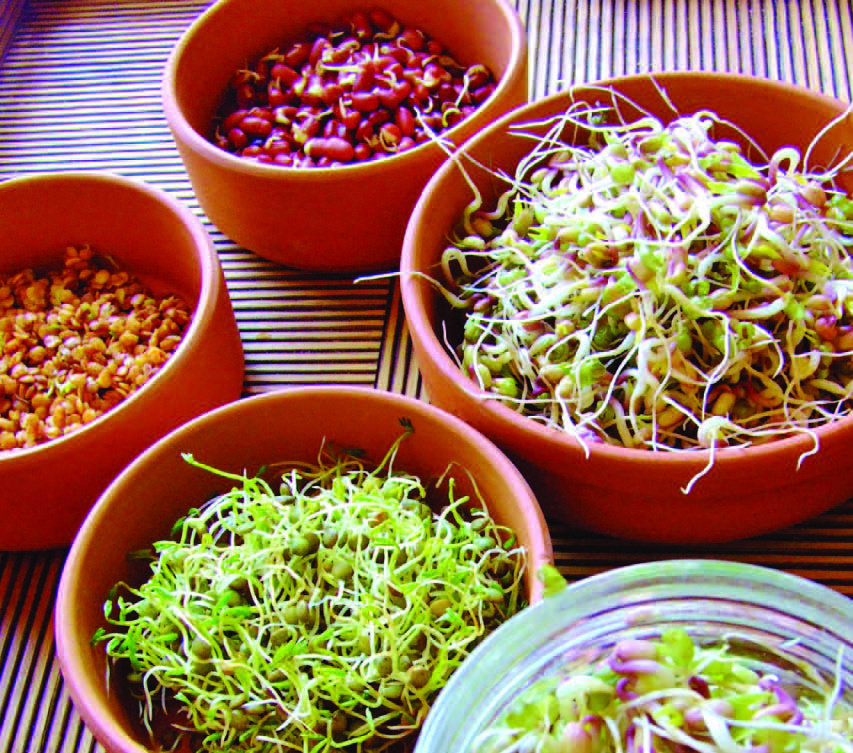 Aquí 9 buenas razones para comer germinados orgánicos: