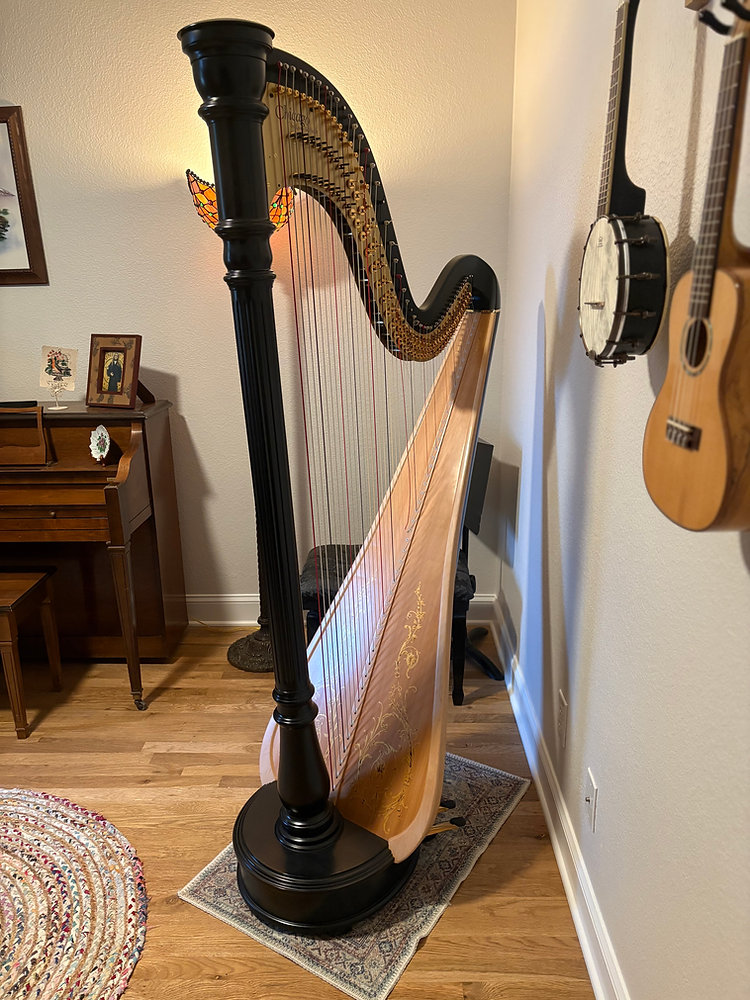 Lyon and Healy Chicago CGX for sale