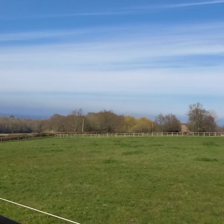 Becoming a village asset | St Francis Fields