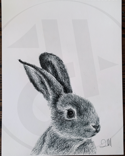 Rupee the Rabbit | Jayce Hall Art