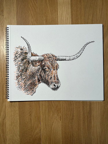 BEVO | Jayce Hall Art