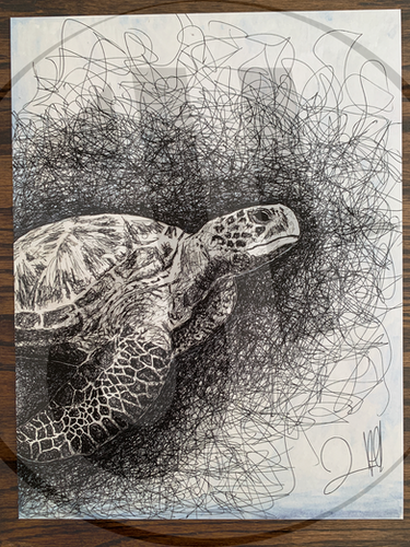 Truman the Turtle | Jayce Hall Art