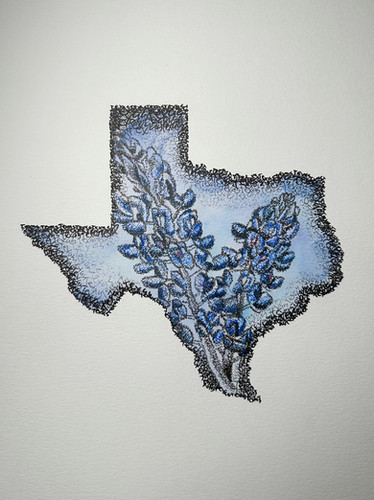 Texas | Jayce Hall Art