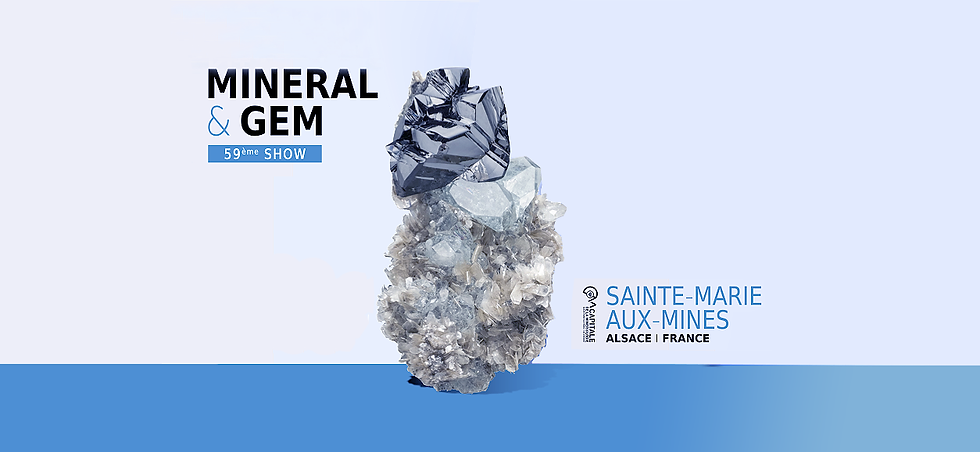 Salon de la Gemm'Academy