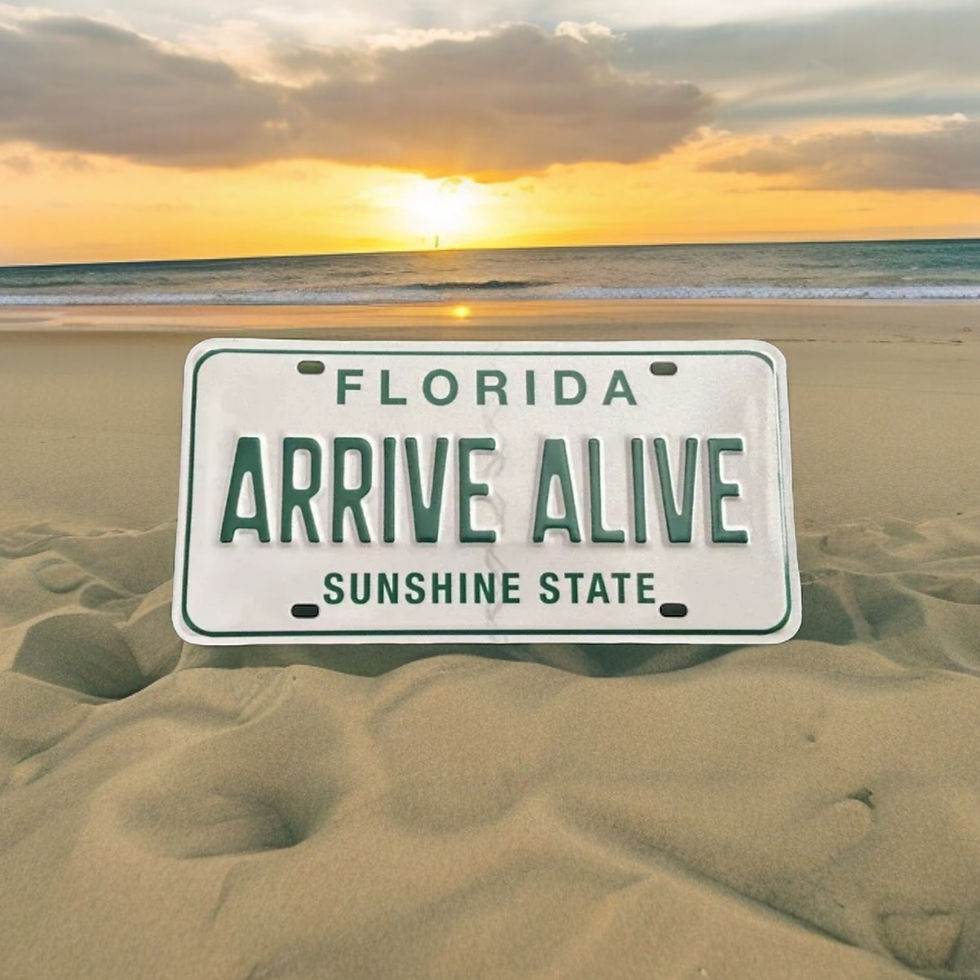 Green Florida Arrive Alive Vanity License Plate | Blue Hawk Coins