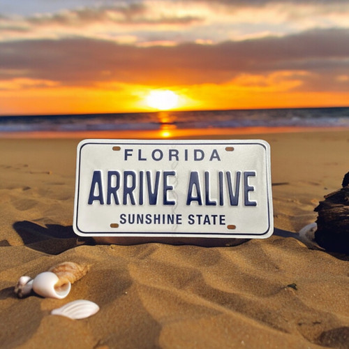 Blue Florida Arrive Alive Sunshine State Vanity License Plate | Blue ...