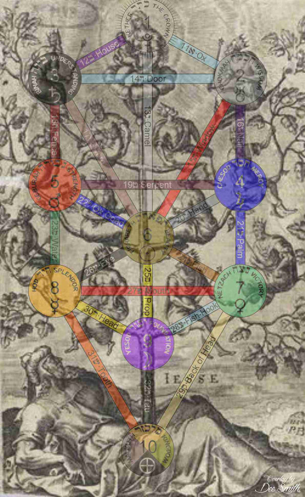 The Tree of the Divine and Mortal Human | Thyalwaysseek