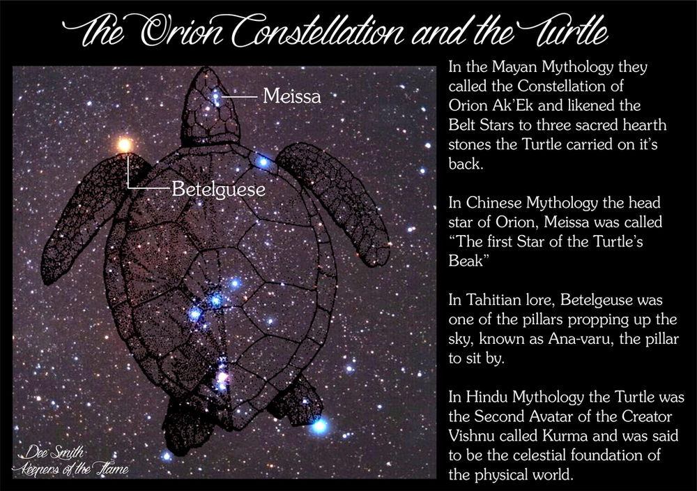 The Turtle and the Orion Constellation | Thyalwaysseek