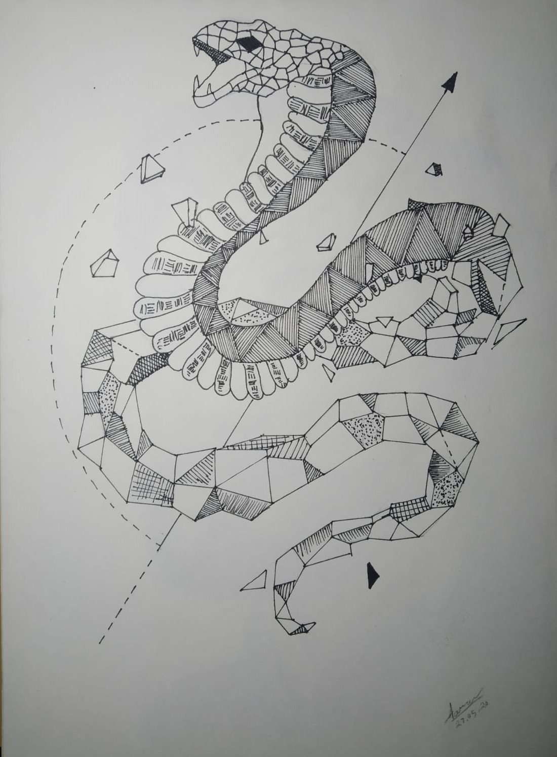 Polygon Snake