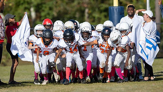 Troy Parks and Recreation