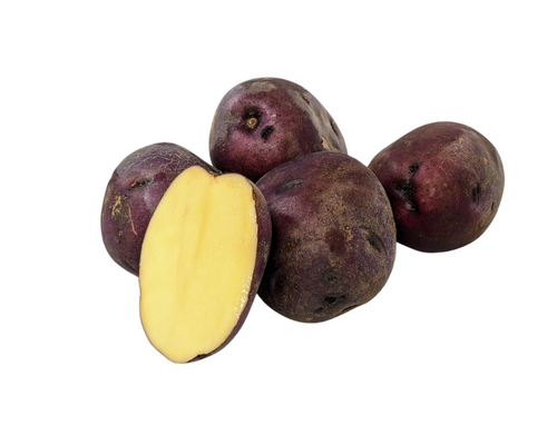 Peter Wilcox (Blue Gold) | Mnt Valley Garlic Certified Organic Seed ...