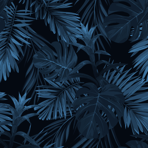 Cage Covers Blue Forest Cake | Cage Covers