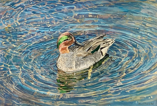 Green Winged Teal | Reef Gallery Inc