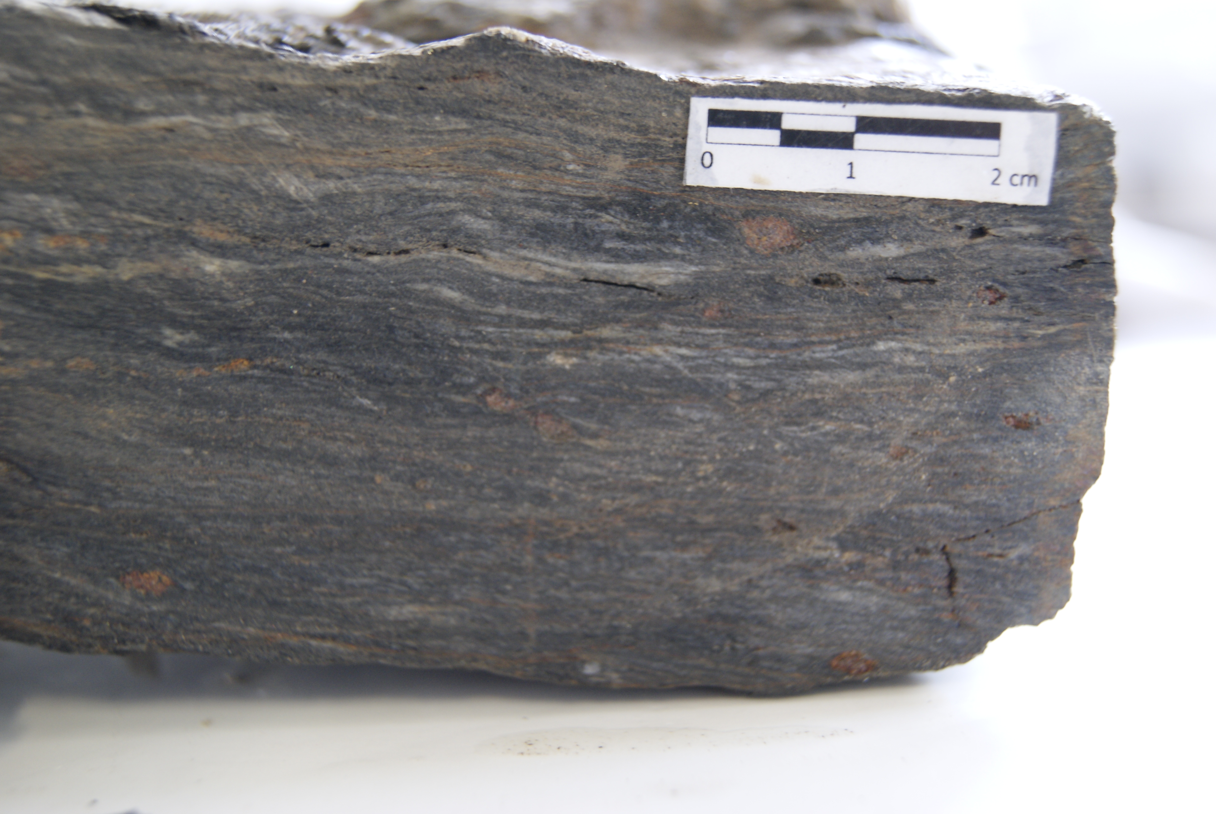 Complejo Macizo de Chiapas | rocasmetamorficas