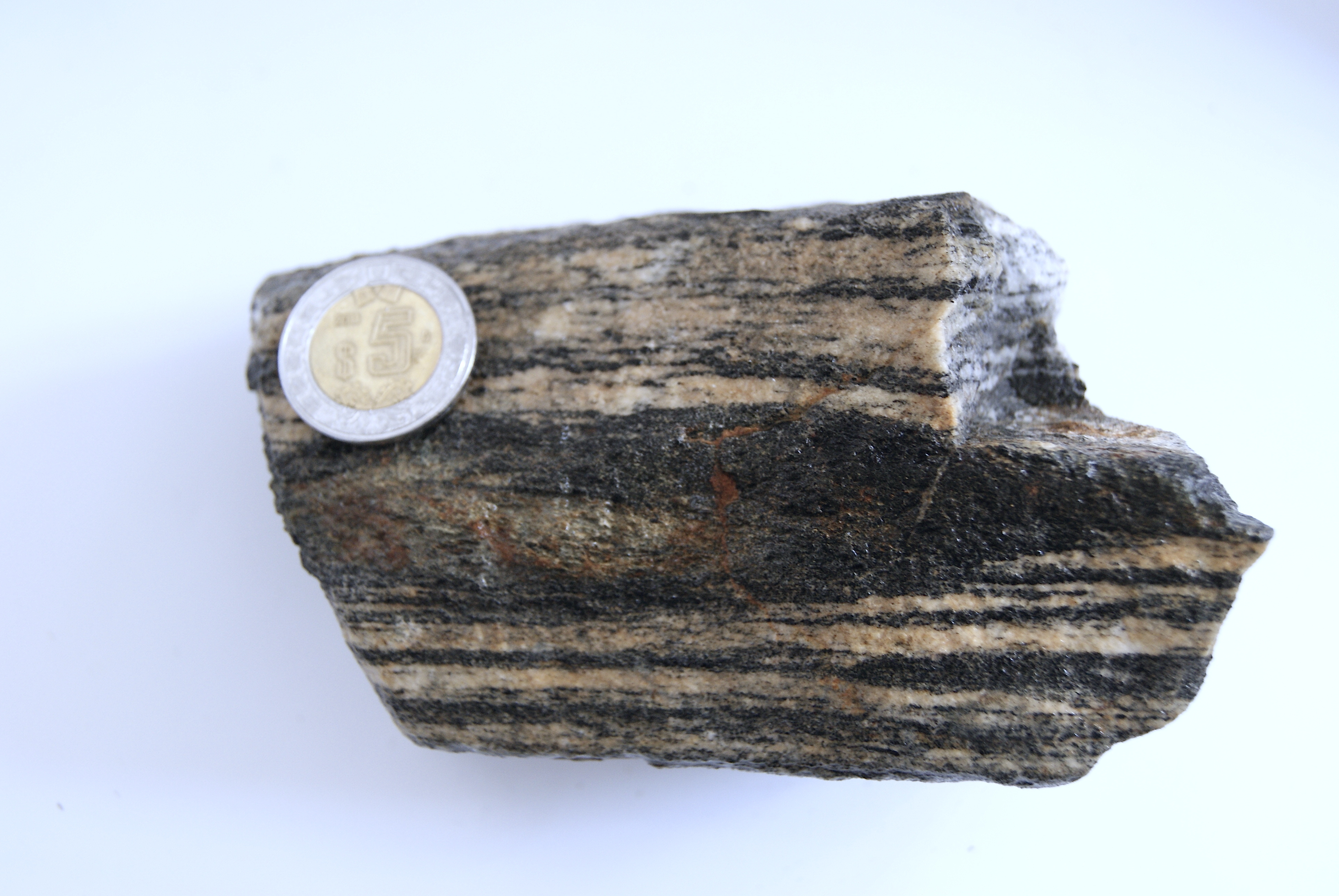 Complejo Macizo de Chiapas | rocasmetamorficas