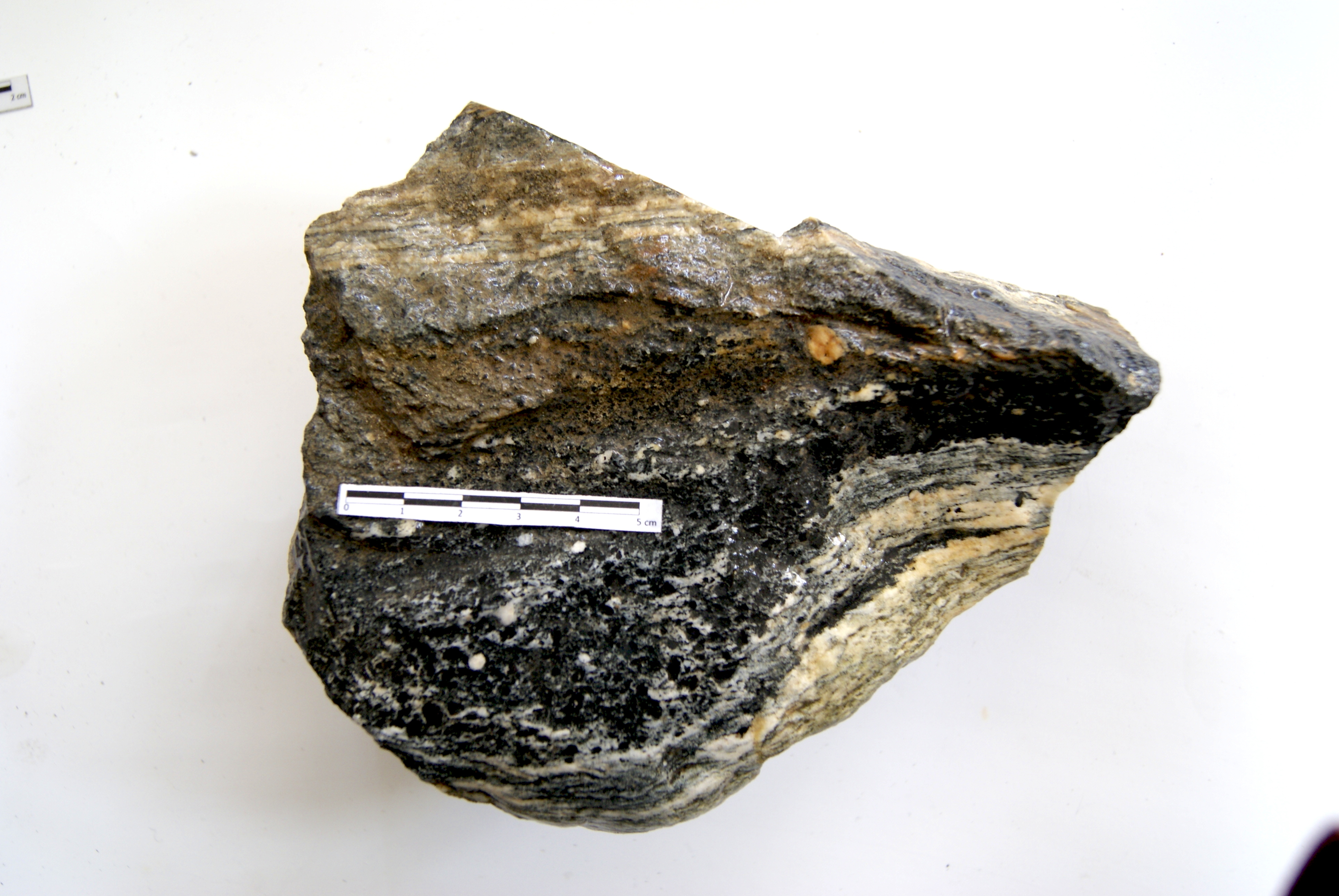 Complejo Macizo de Chiapas | rocasmetamorficas