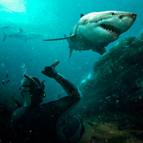 FOTOMONAJE BUZO | Alain Perdomo