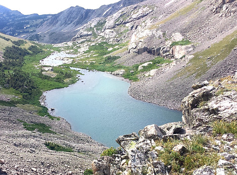 Study: Alpine vs. Subalpine | kimvincentdesigns