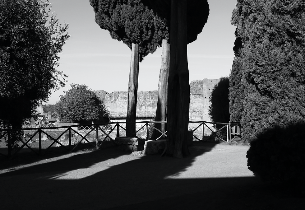 Robert Croll | Photography