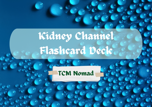 Kidney Channel Flashcard Deck | TCM Nomad