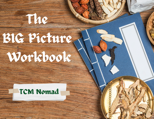 The BIG Picture Workbook | TCM Nomad
