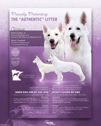 PLANNED LITTERS | Fireside Fernweh