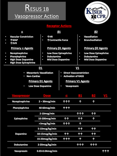 Vasopressor & Shock Guide | Kiser CPR