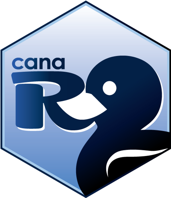 Creating an Internal R Package: canaR