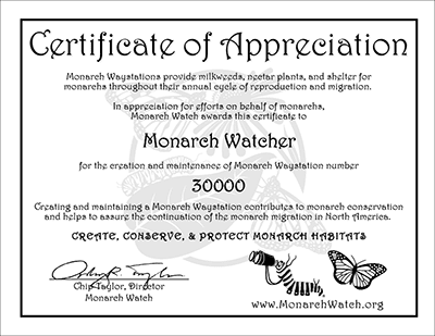 Pollinator Plots, Butterfly Gardens, and Monarch Waystations, Oh MY ...