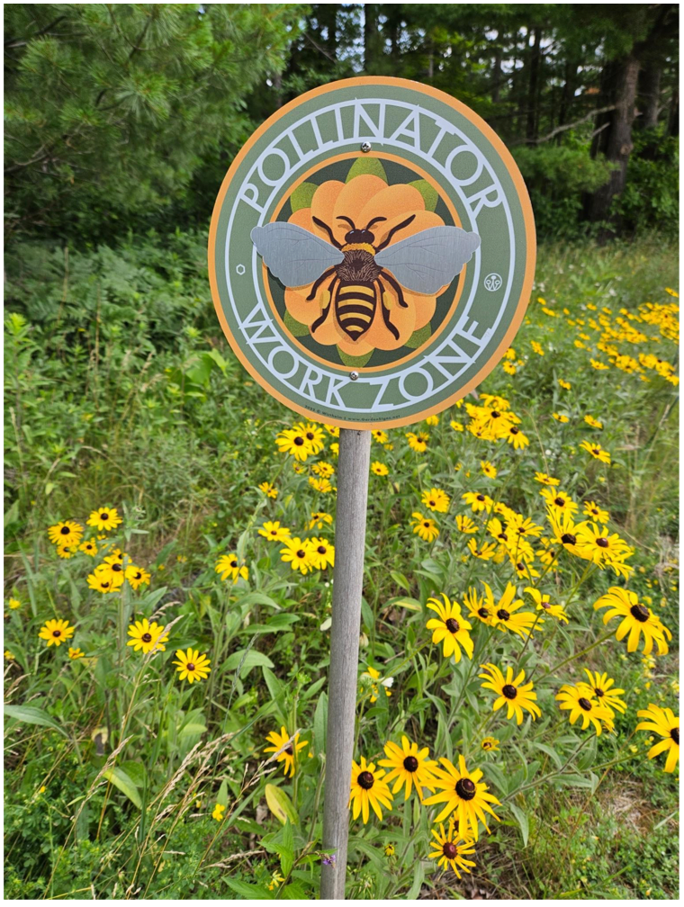 Plotting your Pollinator Plot | EcoFaith