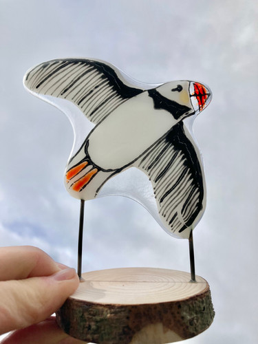 Fused Glass Flying Puffin | Leona Stewart Glass