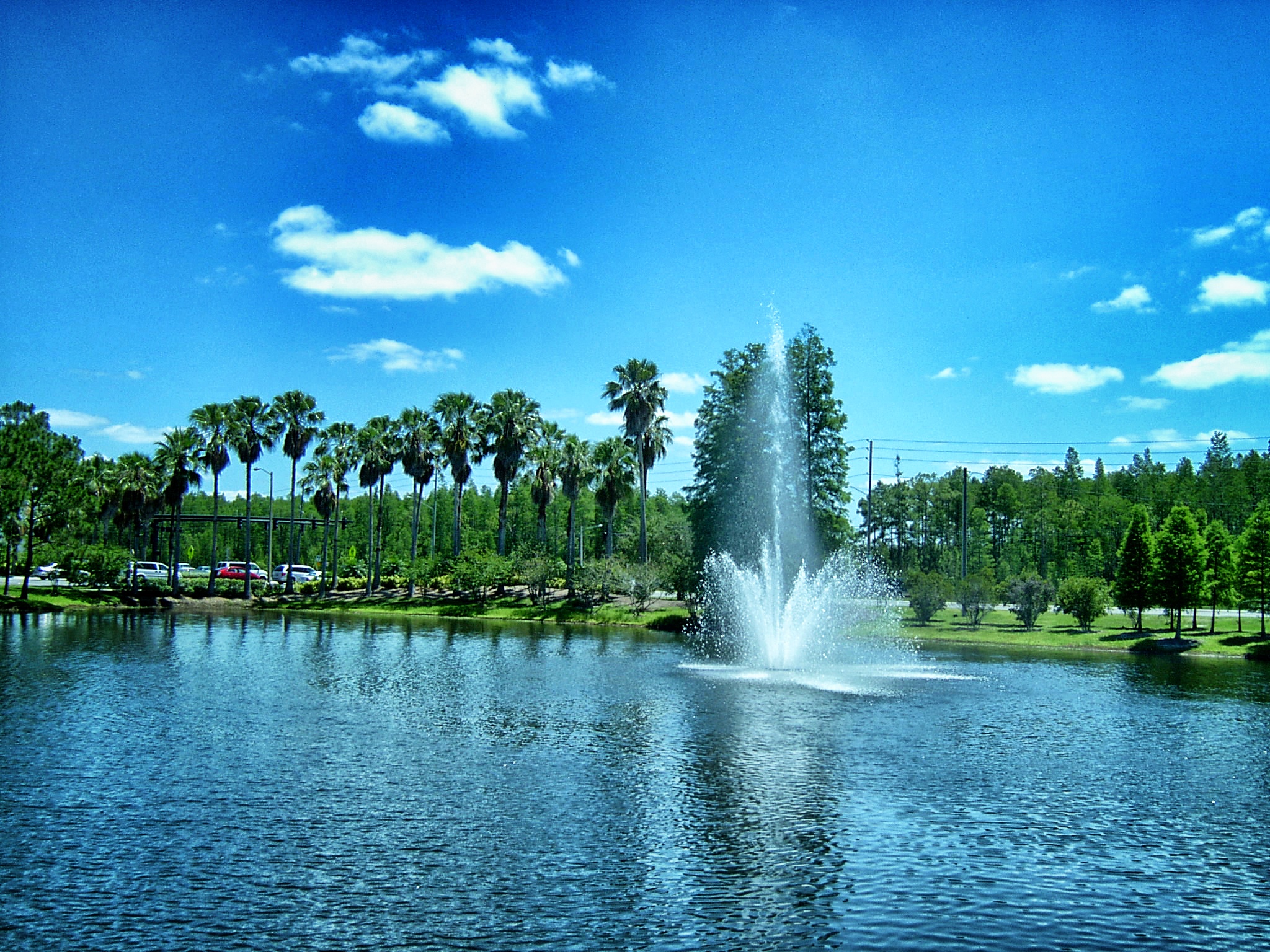 Florida Water Features | Florida's Fountain Company