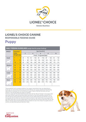 RESOURCES | Lionel's Choice