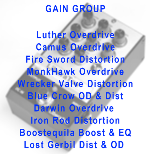 Pedals for Gain Group | LiberaToe