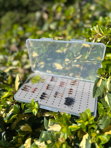 Strike Fly Co. - 36 Piece Tungsten Jig Nymph Assortment | CREEKSIDE