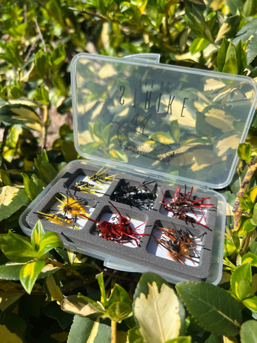Strike Fly Co. - 18 Piece - Stonefly Nymph Assortment | CREEKSIDE