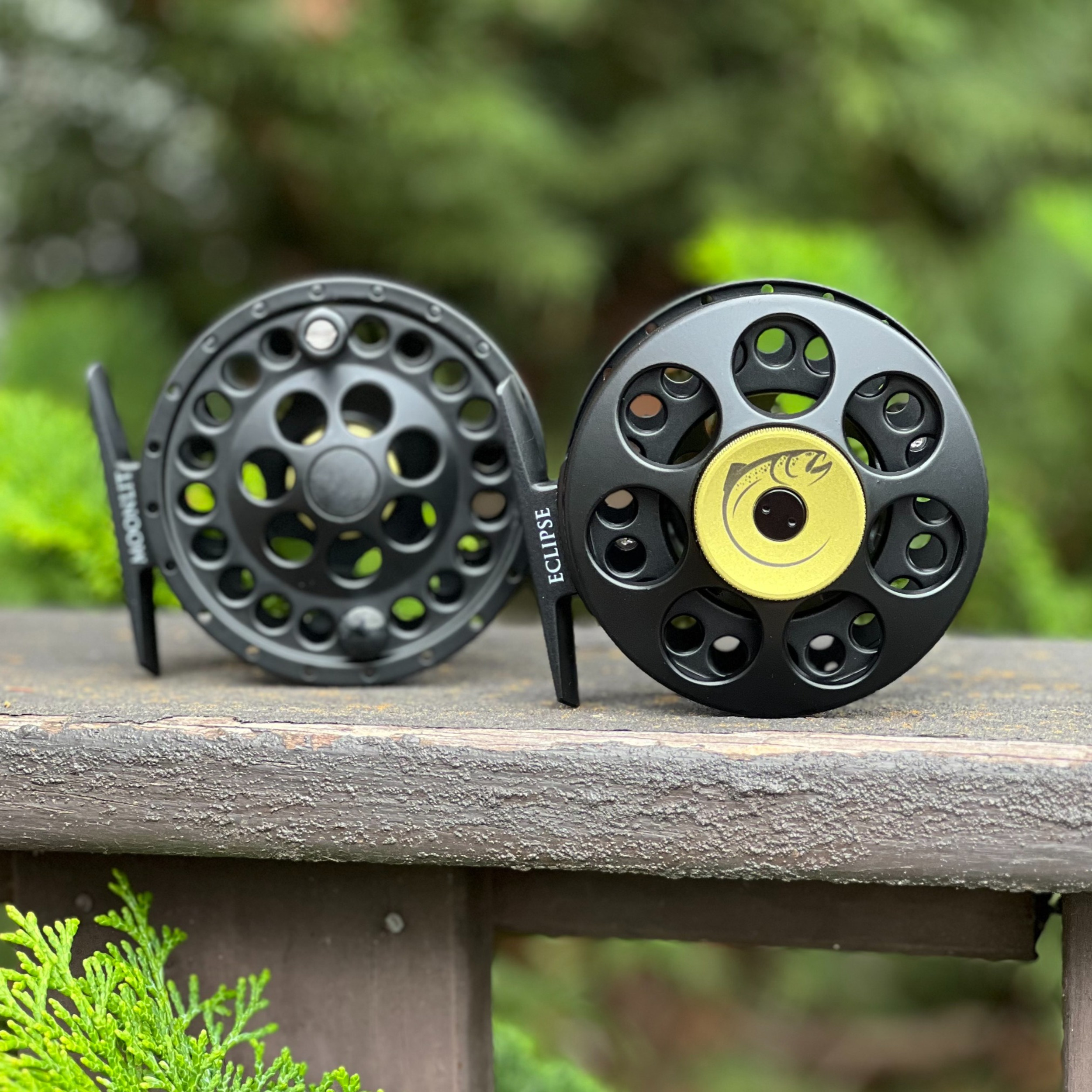 REELS | CREEKSIDE