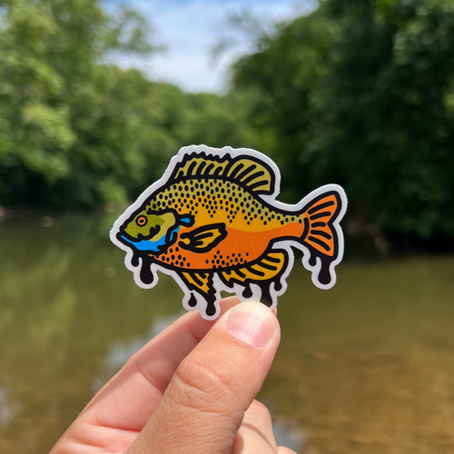 CREEKSIDE Drippin' Bluegill Decal | CREEKSIDE